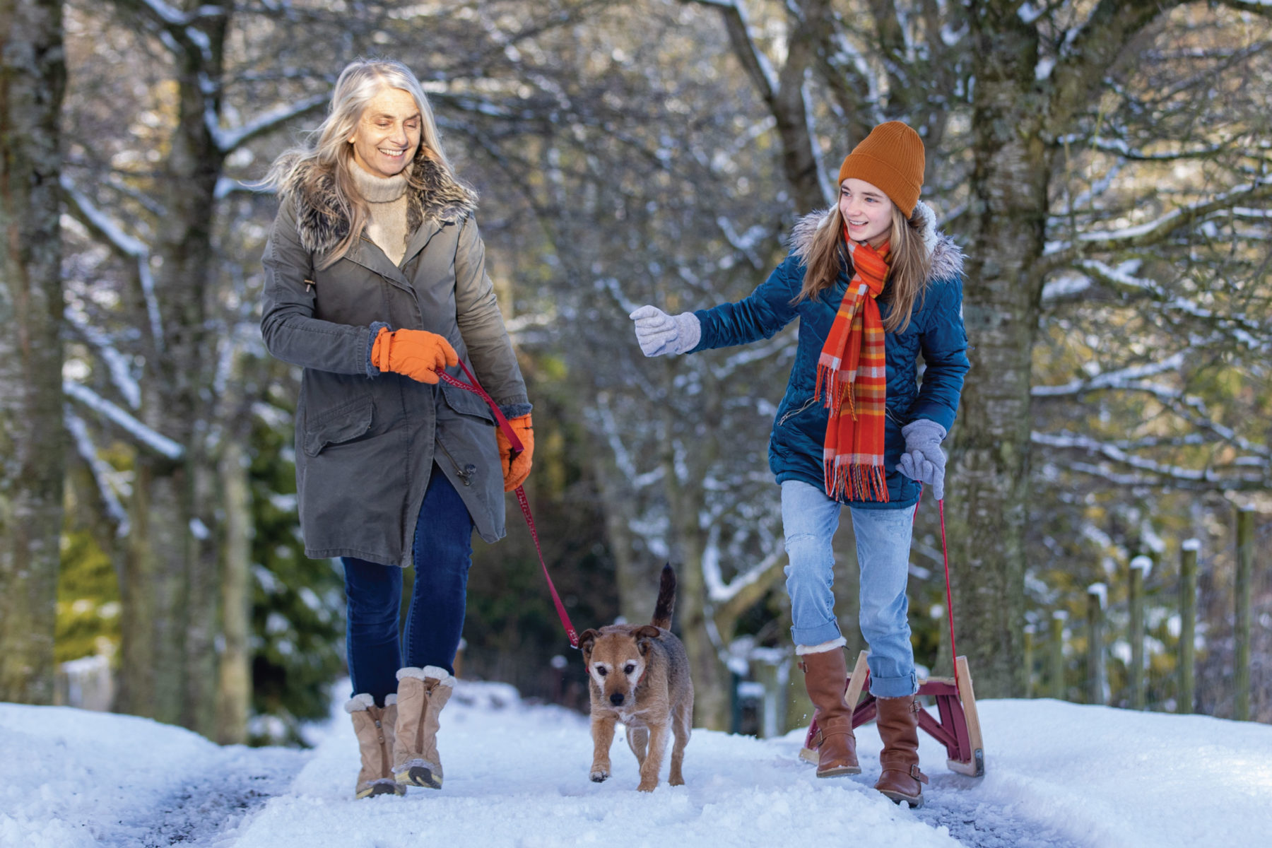 How to stay healthy this cold and flu season - Meritain Health